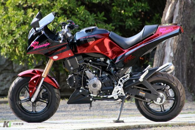 Z125 PRO by ドレミコレクション | カスタムマシン | カワサキイチバン